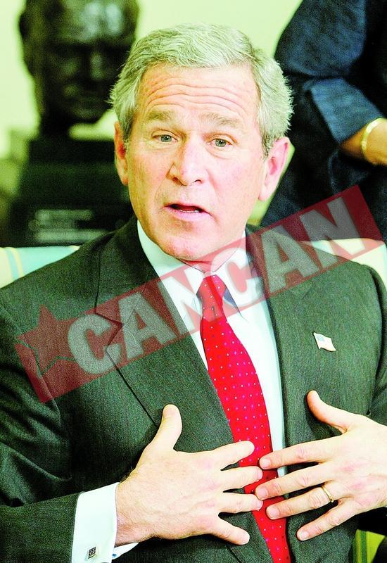 Bush, la ceai cu regina