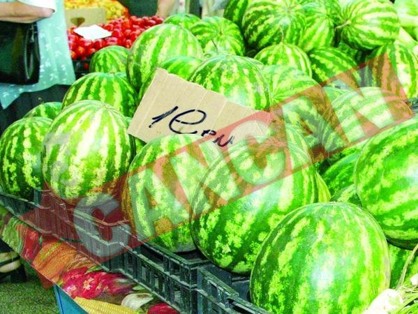 Pepenii de la Dabuleni, "made in Turcia"