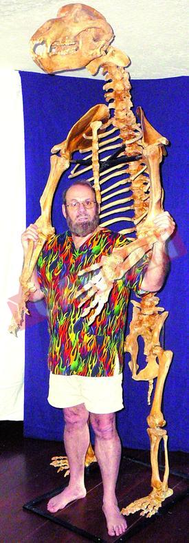 Urs preistoric din Romania, vandut online