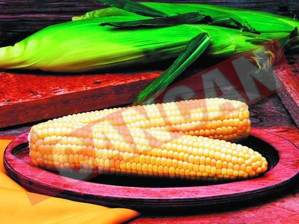 Cum identificati grasimile sanatoase