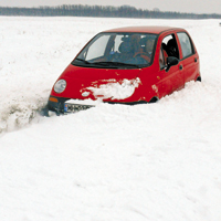 Atentie, cad turturi!