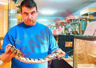 El e doctor de serpi!