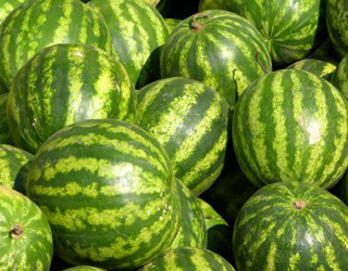 Doi tineri au furat de la un batran doua tone de pepeni