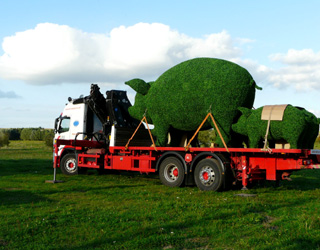 Printul Charles are tufisuri-purcei in curte