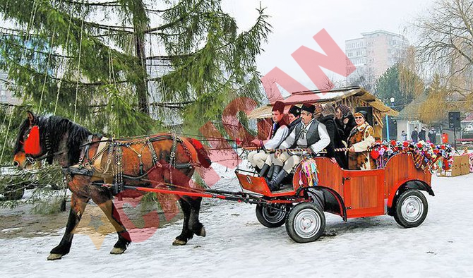 Hai la plimbare cu trasura-limuzina!