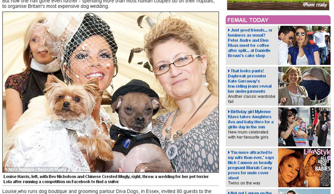 Cea mai scumpa nunta canina a costat 20.000 de lire sterline