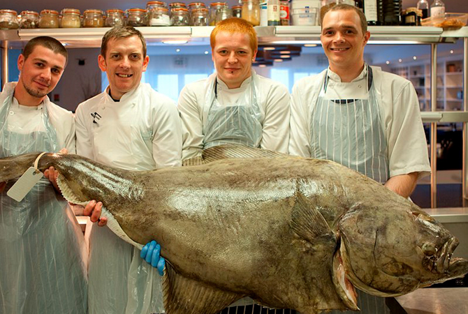 Au cumparat un peste de 42 de kilograme