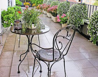 O oaza de verdeata pe balconul tau