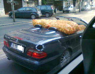 Ce mai e la moda printre cocalari? Sa transporti saci de cartofi intr ...