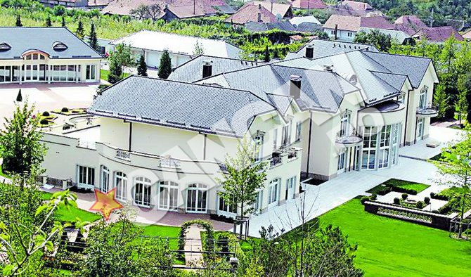 Domeniul de la Oituz al omului de afaceri Costel Casuneanu, raiul pe ...