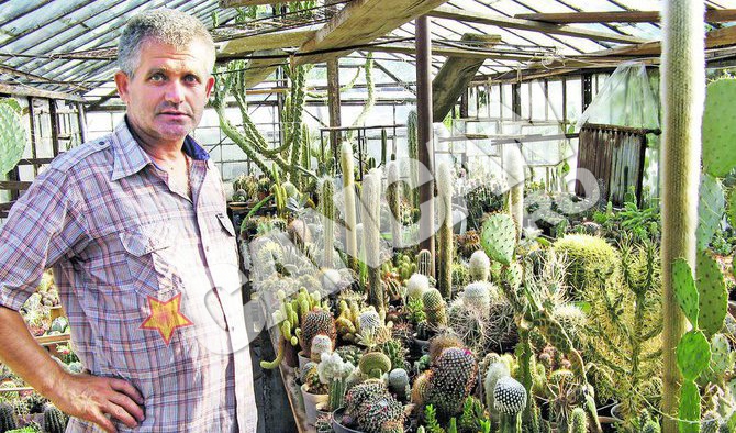 Teofil Condoros, din Arad, este pasionat de plantele cu ghimpi. Are o ...