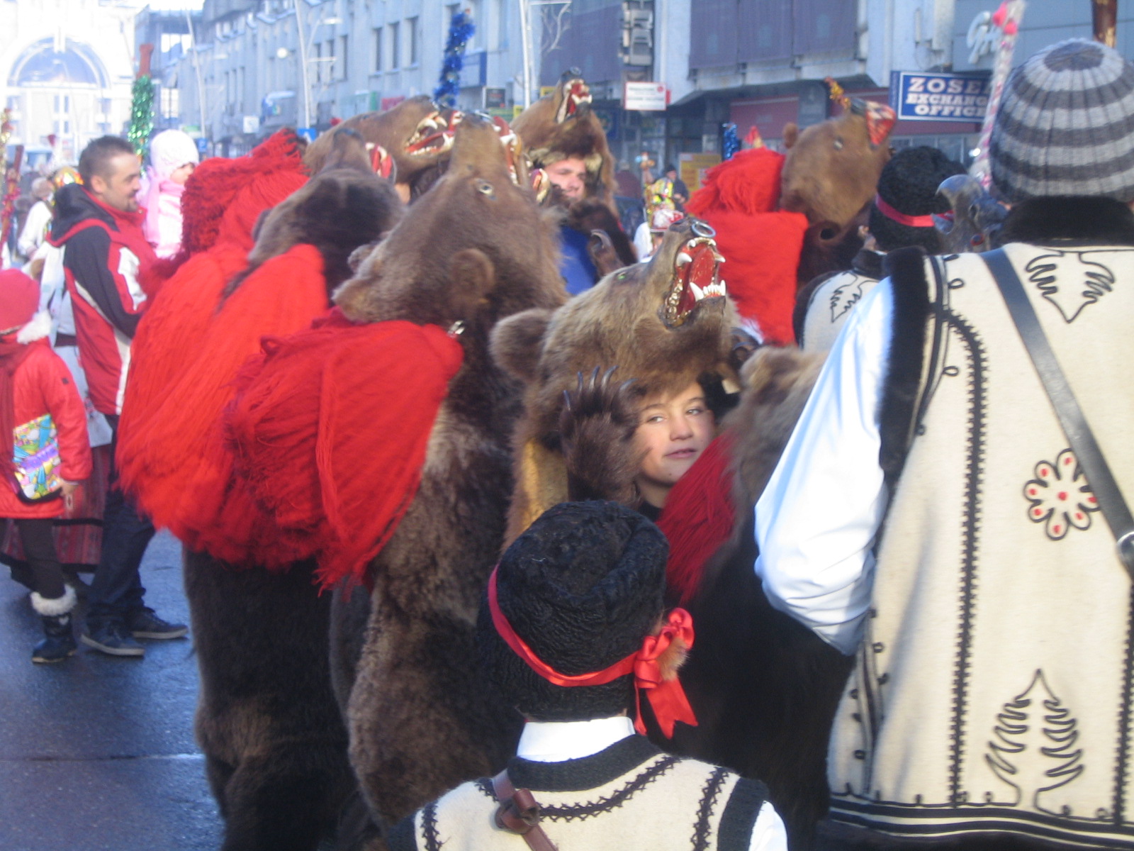 "Ursii din Darmanesti" vor intra in patrimoniul UNESCO, alaturi de ...