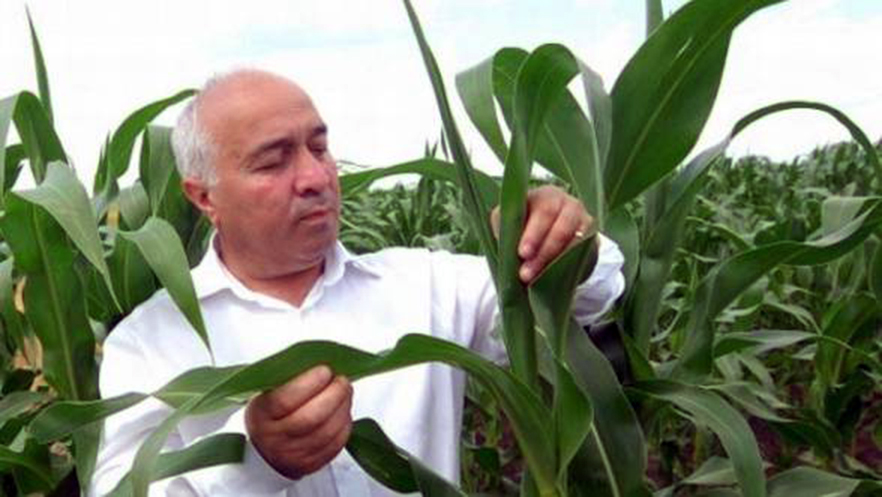 Fermier de succes, Adrian Radulescu a pornit de jos! A fost sculer ...