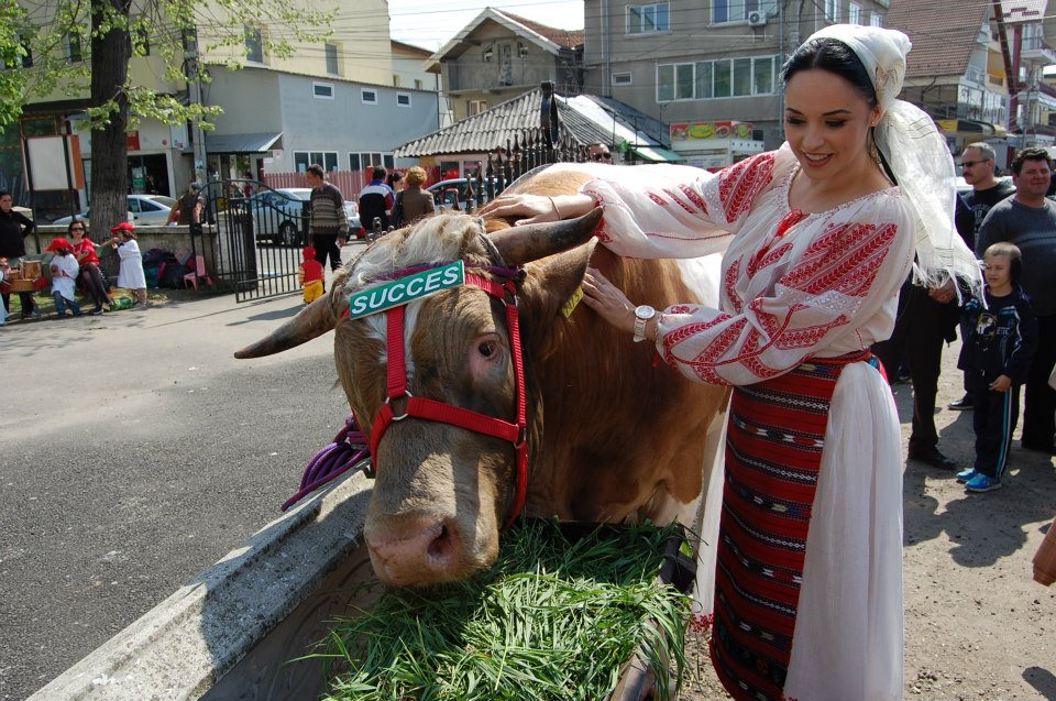 Andreea Marin a vândut carne tocată la o măcelarie de cartier si a stat ...