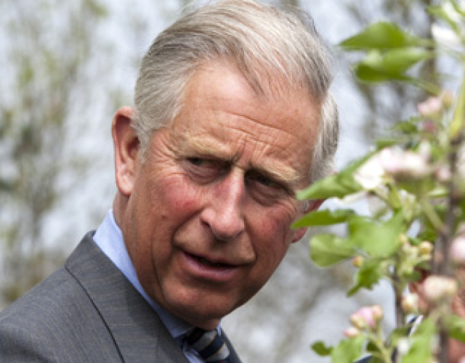 Printul Charles face primele declaratii, după naşterea primului nepot ...