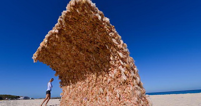 Pare o creatura ciudata care iese din nisip insa nu este deloc asa! Iti ...