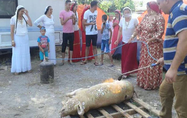 Scene şocante la mare! Au tăiat porcul chiar pe plajă