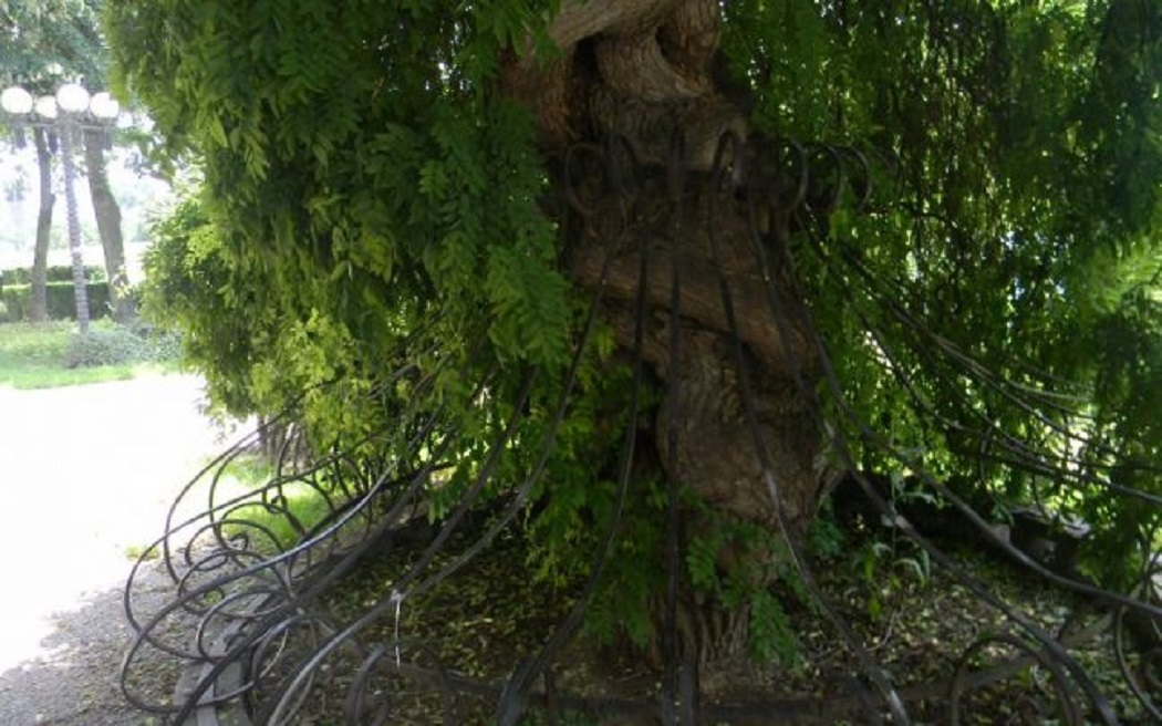 Are 80 de ani şi a fost declarat ”monument naţional”. Povestea secretă ...