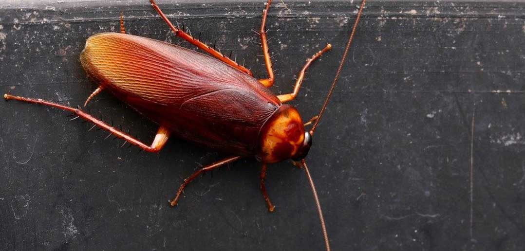 Ce s-a întâmplat cu restaurantul din Galați, unde a fost filmat un ...