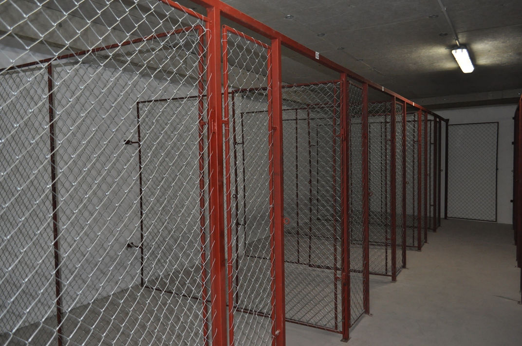 Răspunsul NEAŞTEPTAT dat de un bărbat care a fost prins în timp ce fura ...