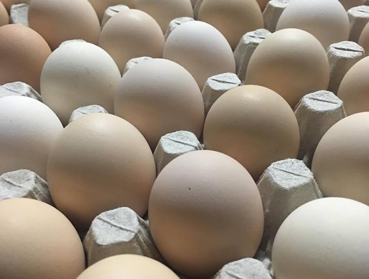 300.000 de ouă contaminate, vândute de o fermă din Scorniceşti