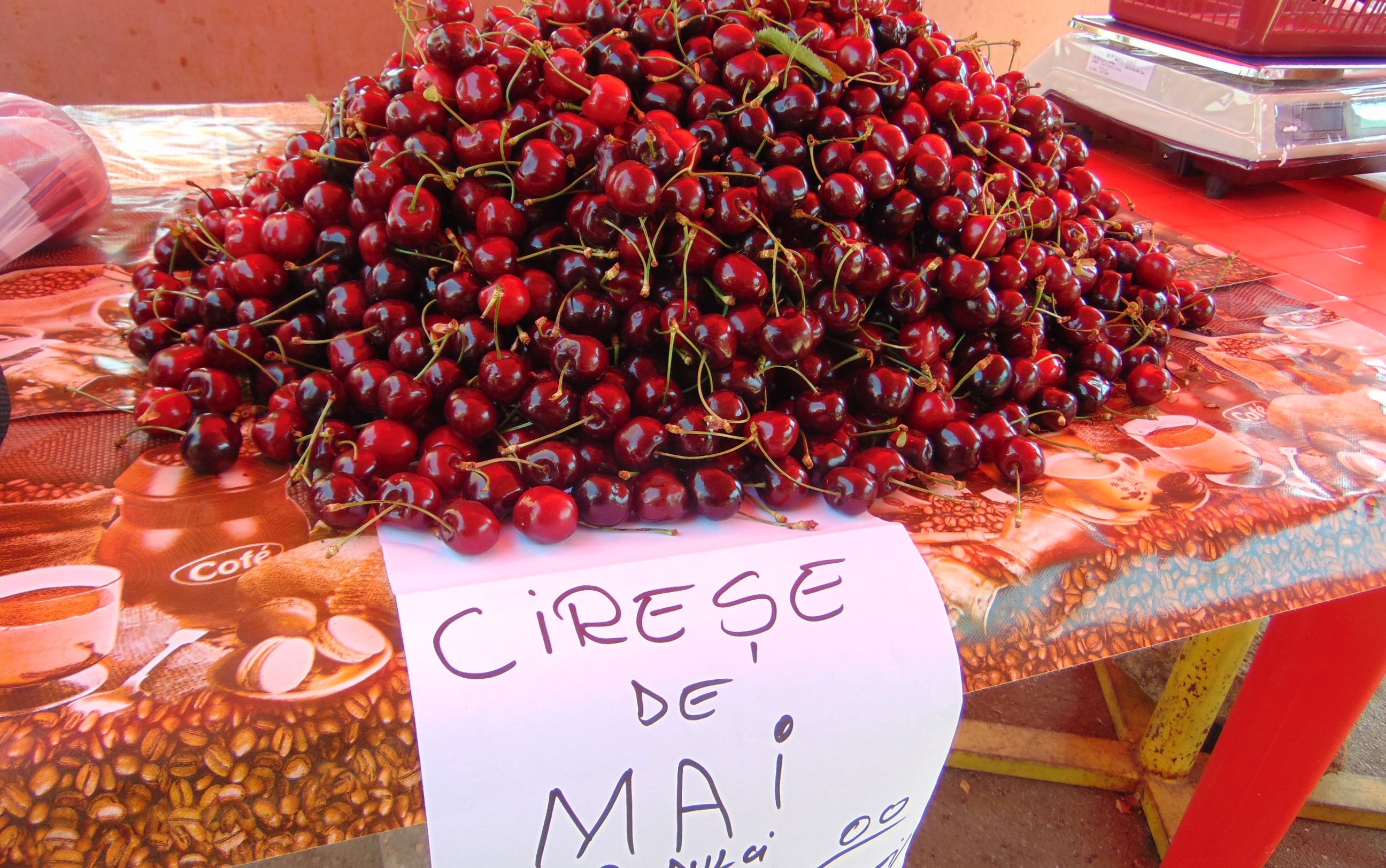 NU e banc! Au apărut cireșele în România: cât costa 1 kilogram