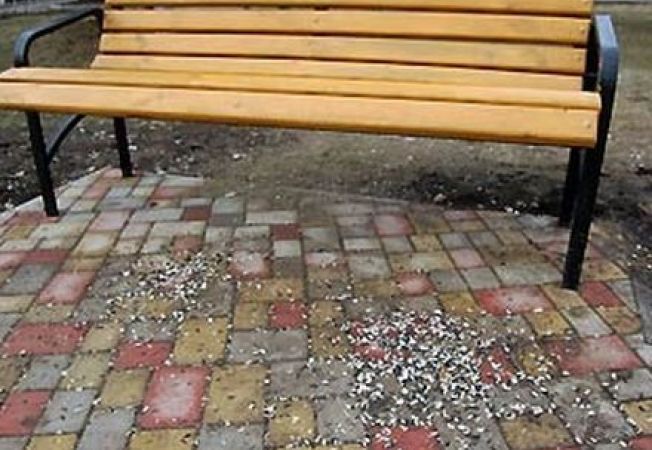 Ce amendă a primit un tânăr din Arad pentru că a scuipat semințe pe jos