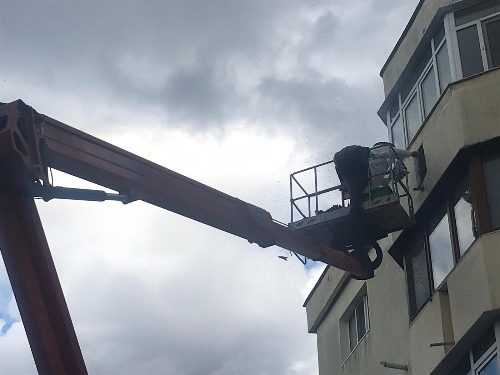 Pompierii din Bacău, solicitați la o intervenție “dulce”! Localnicii s ...