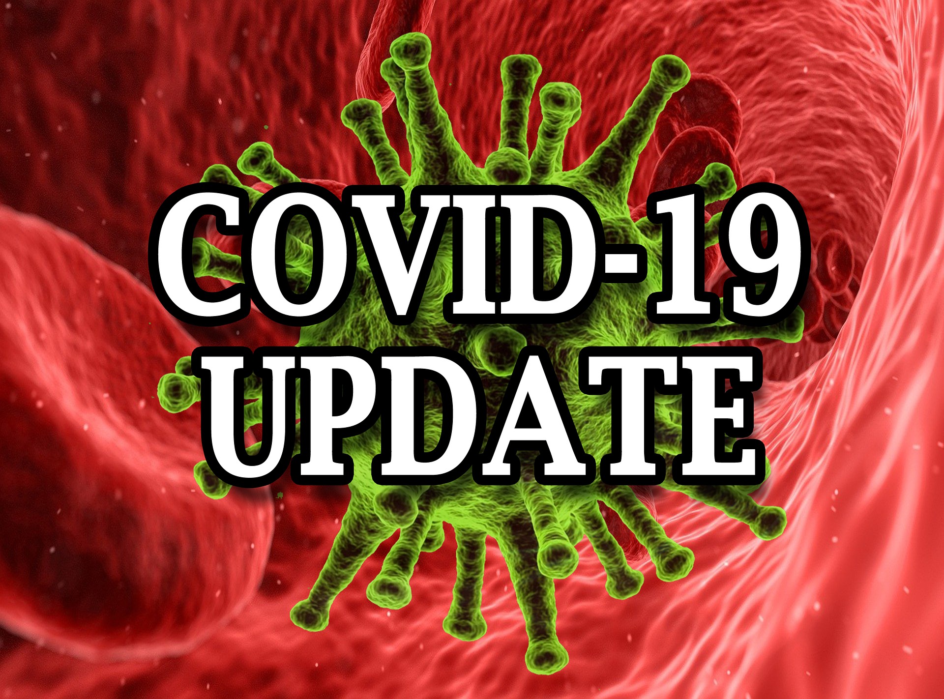 Cel mai nou bilanț al decesolor. Numărul românilor care au murit, în ...