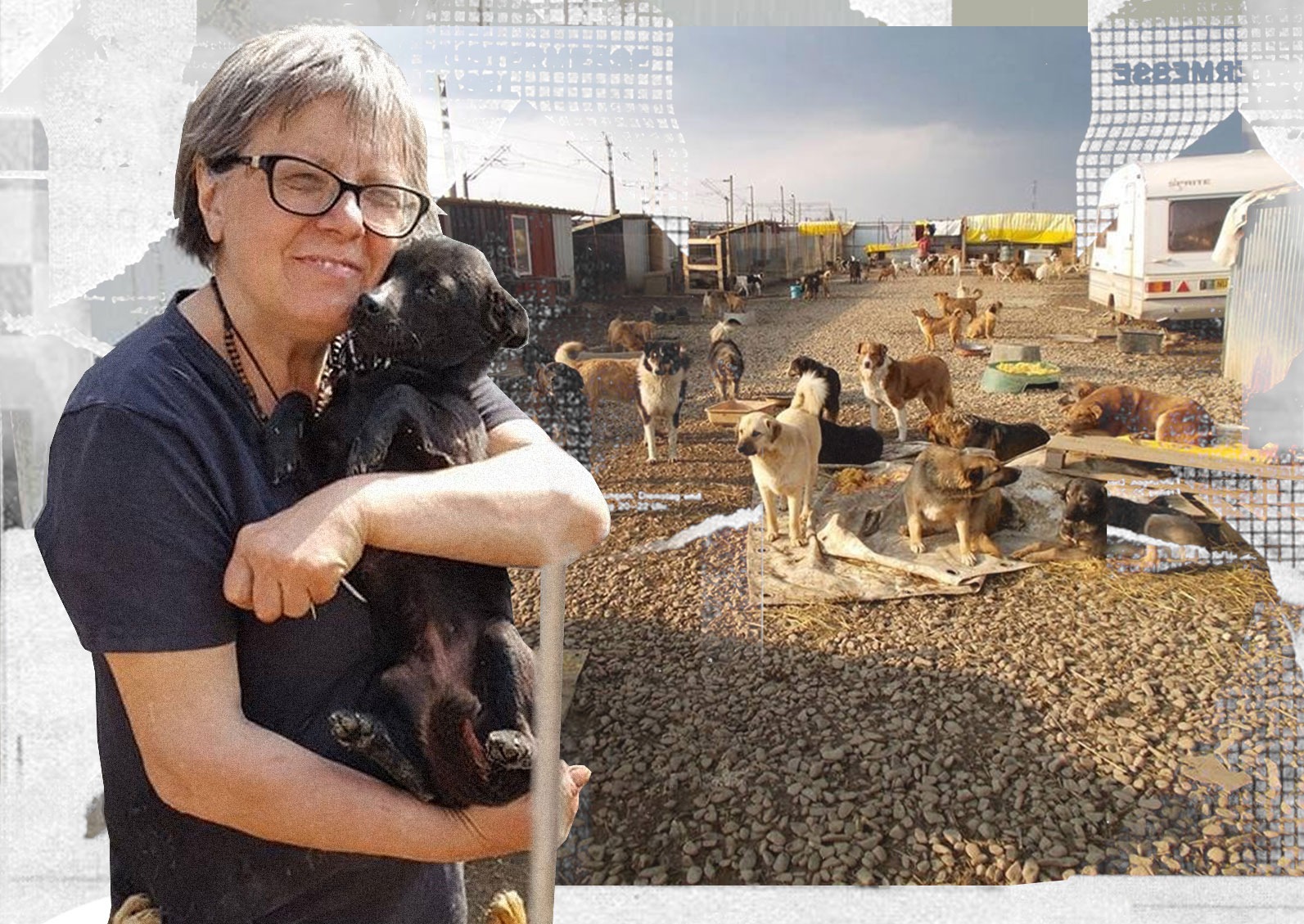 Ea este salvatoarea sutelor de câini din „Dumbrava Minunată”