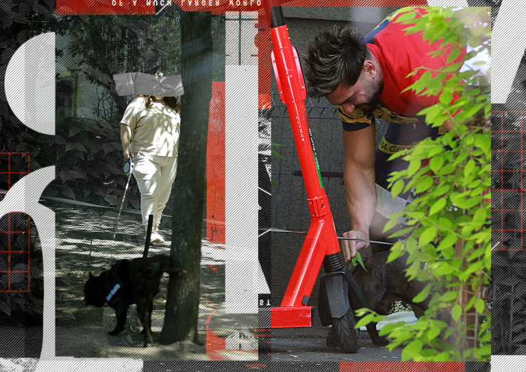 Chelutzu are “bonă”, dar tot Dorian Popa curăță după el. L-am filmat pe ...