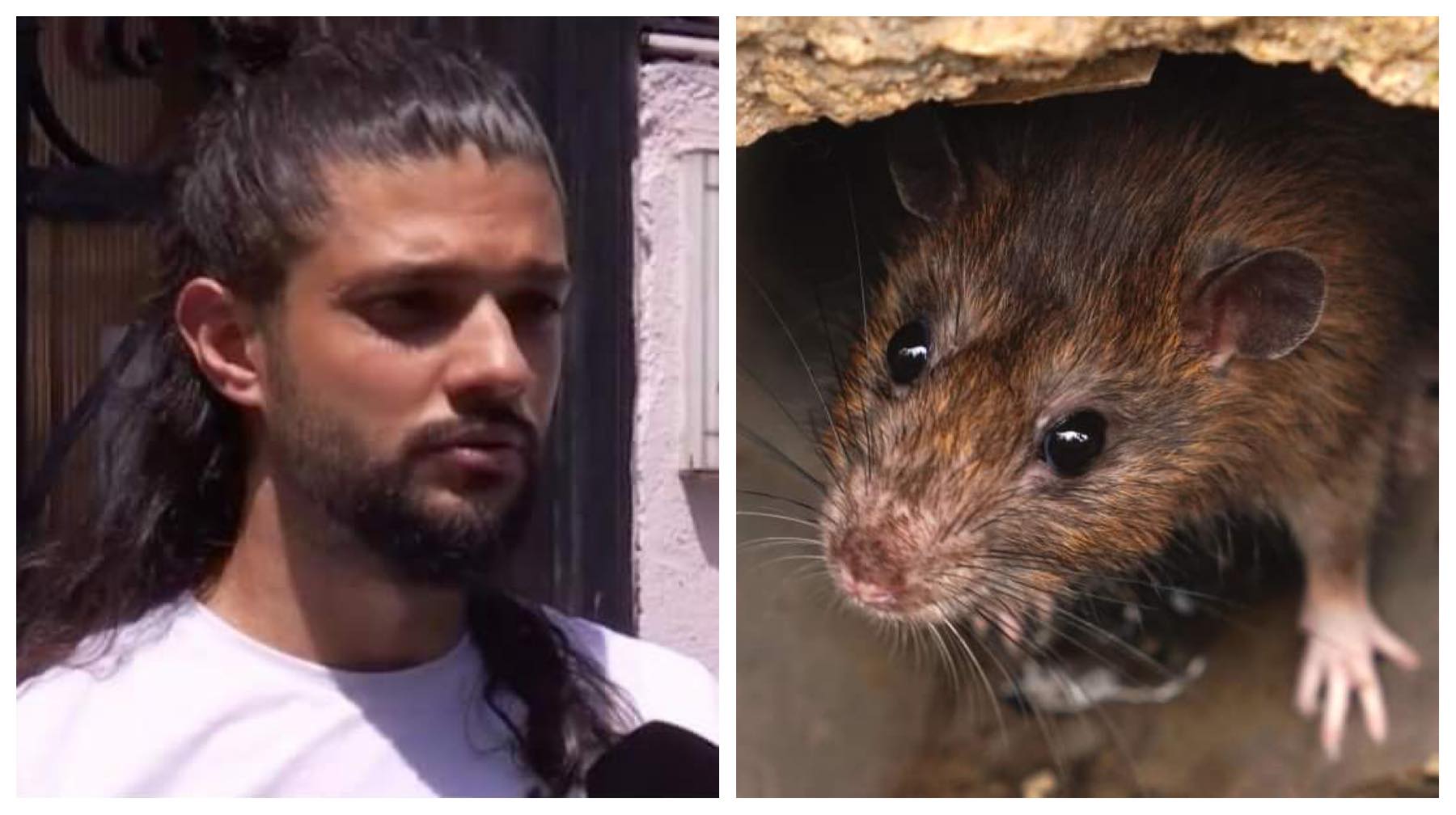 Cătălin, tânărul mușcat de șobolan în centrul Capitalei, a ajuns din ...