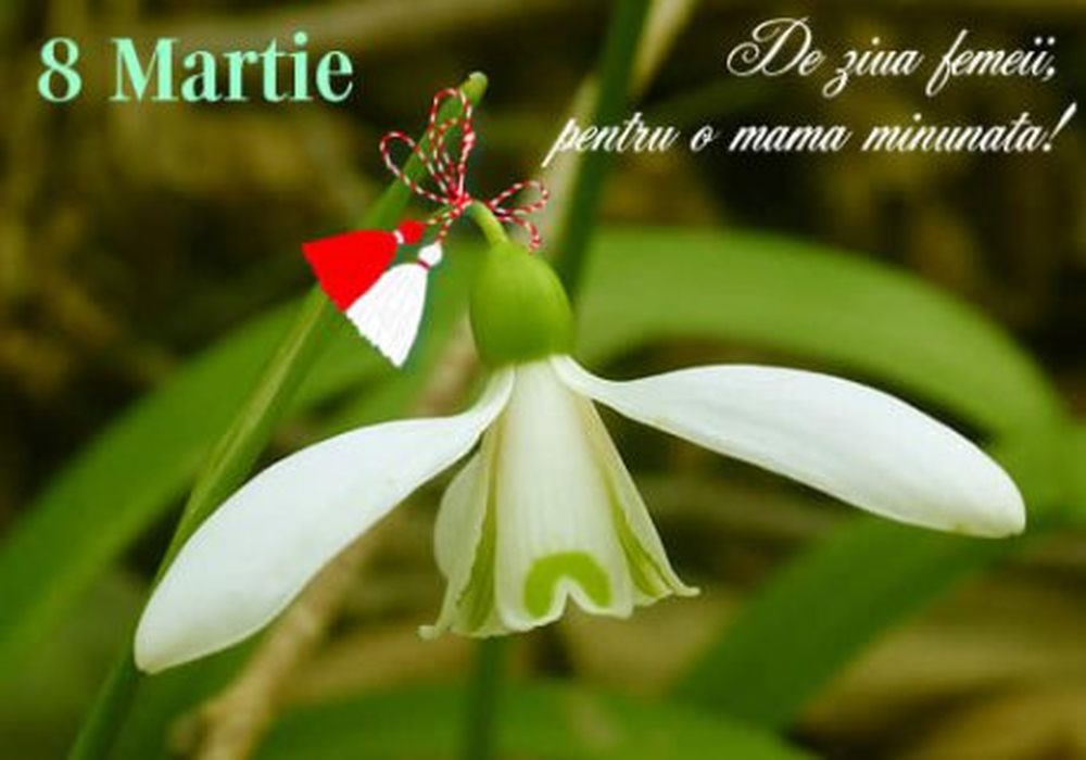 Mesaje și felicitări de 8 martie. Cele mai frumoase urări de Ziua Femeii