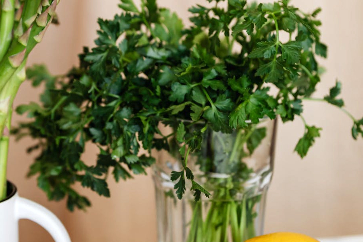 Nu e banc! Cu câți lei se vinde o legătură de pătrunjel în Piața ...