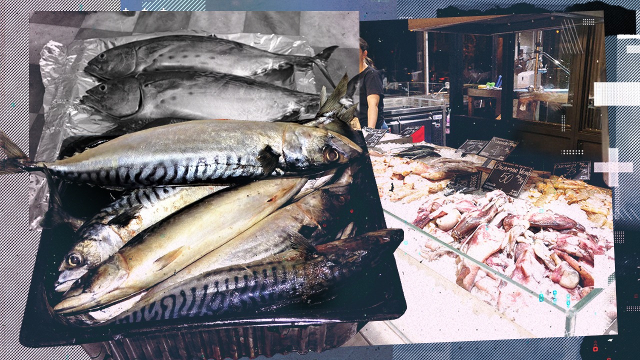 Ce tipuri de pește nu ar fi recomandate pentru consum