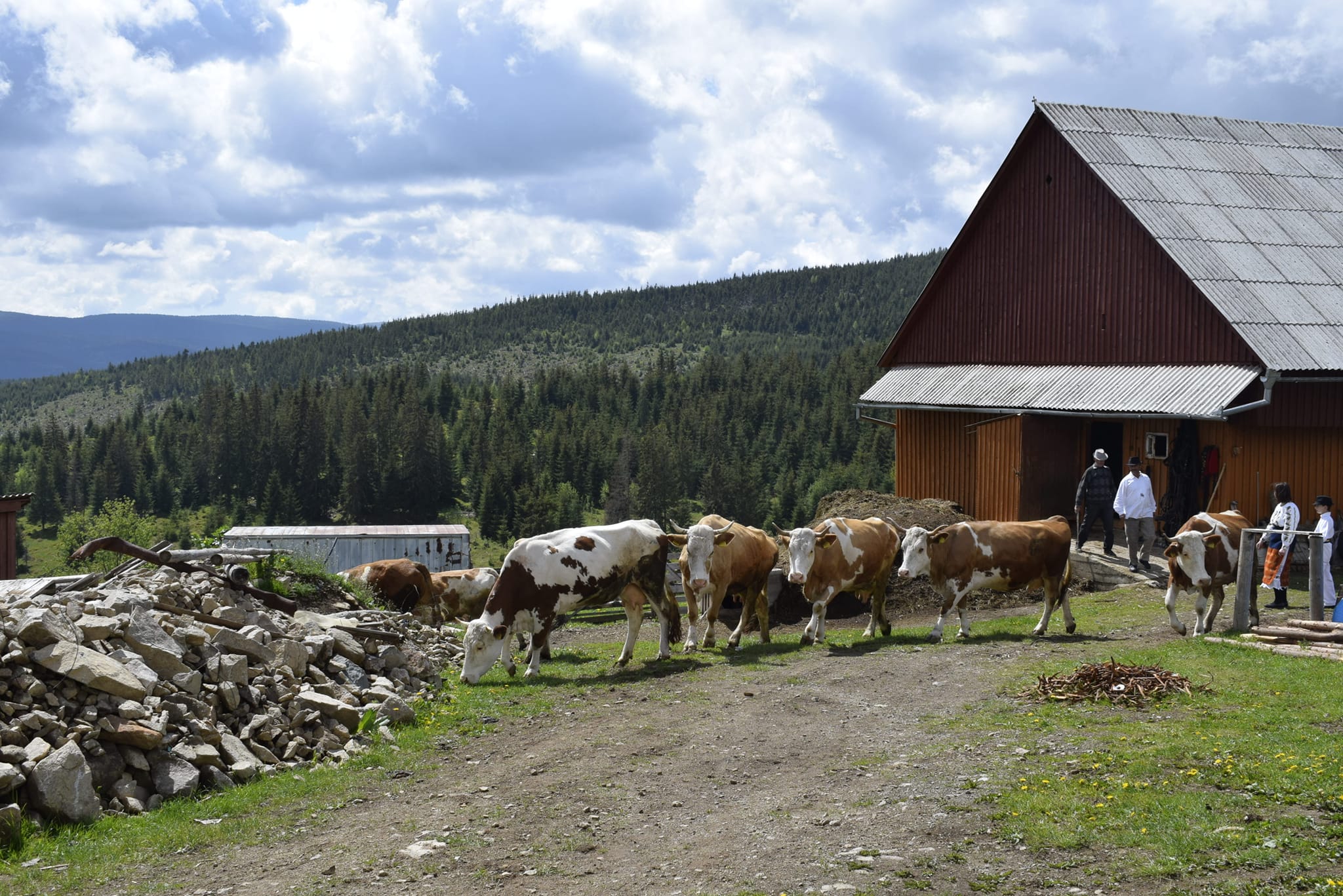Ai auzit de satul Măguri? Este localitatea aflată la cea mai înaltă ...