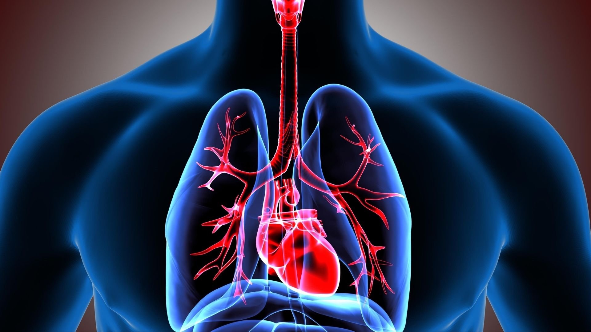 Ingredientul care curăță plămânii. Efectele se simt foarte repede