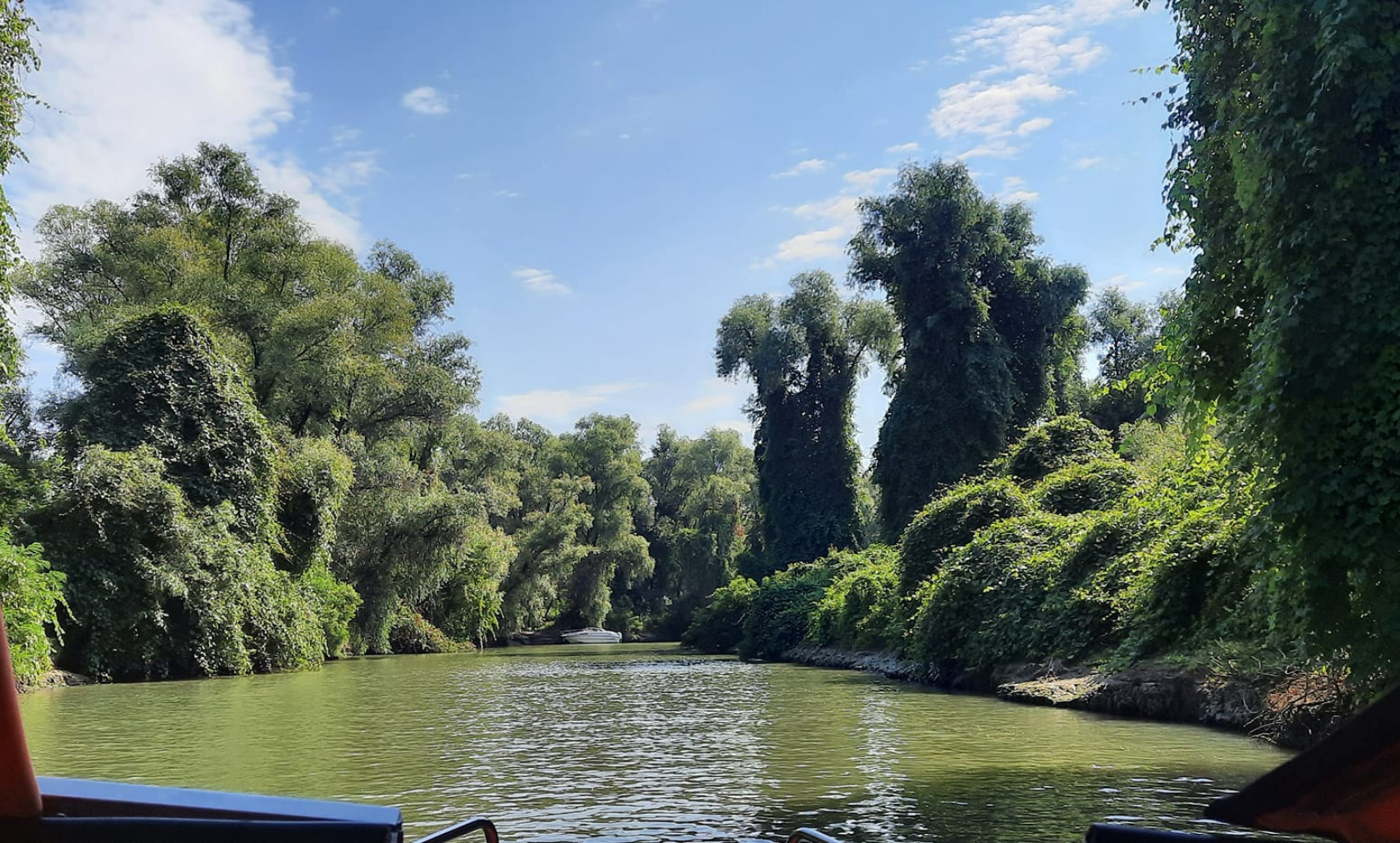 Situație fără precedent în România. Debitul Dunării scade alarmant de ...