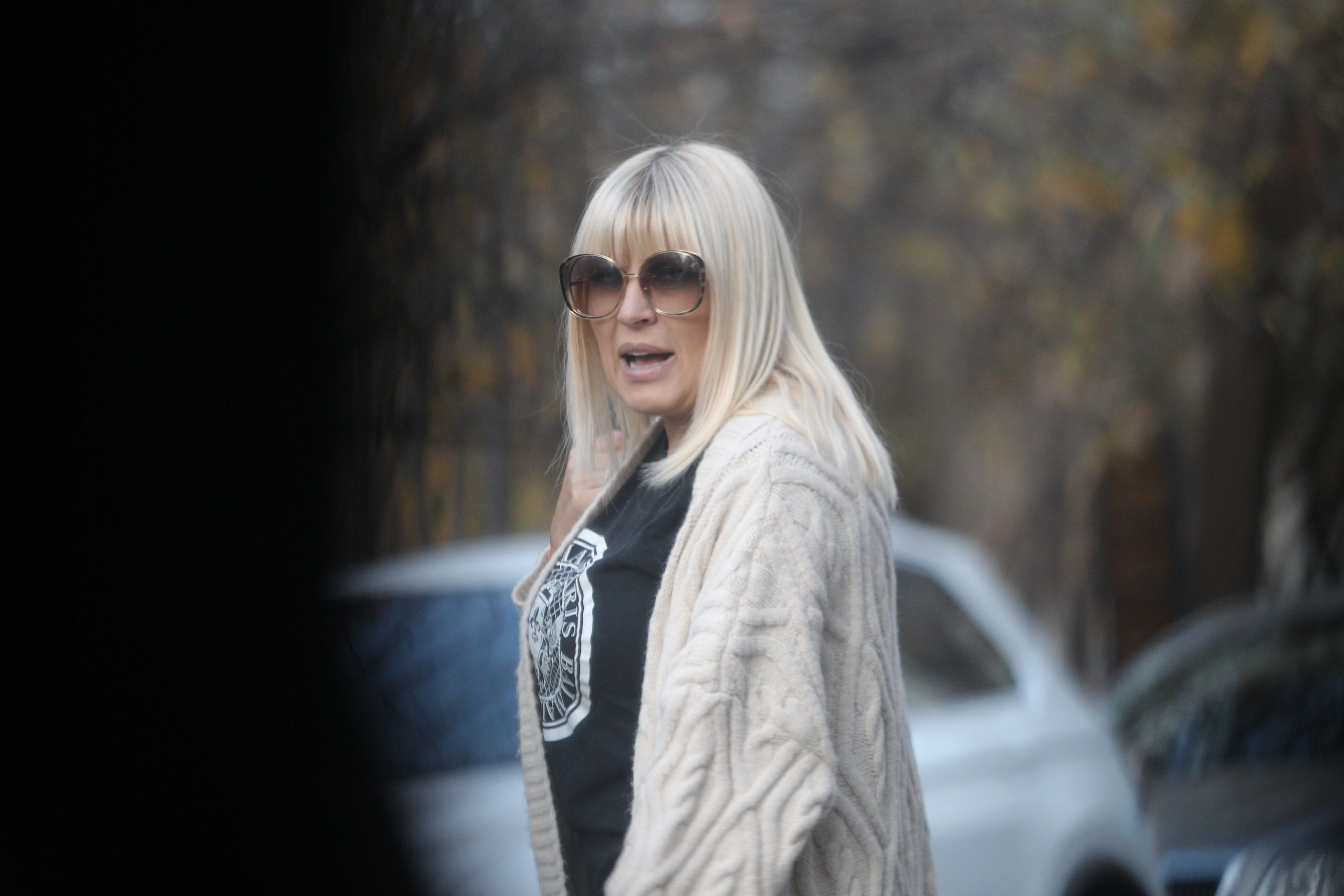 Elena Udrea rămâne în închisoare. Decizia este definitivă