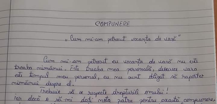 Cea mai tare compunere. Ce a scris un elev despre cum și-a petrecut vacanța de vară