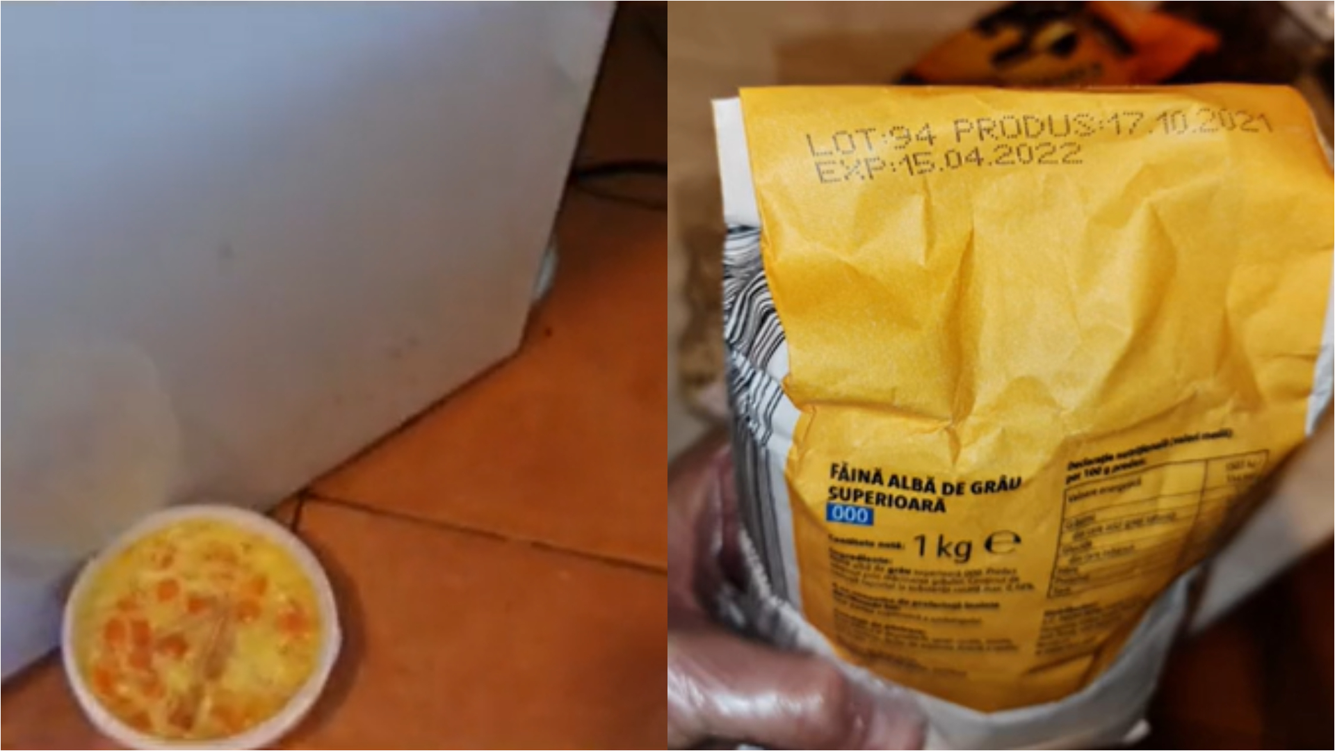 Imagini șocante într-un afterschool din Capitală! Mâncare cu mucegai ...