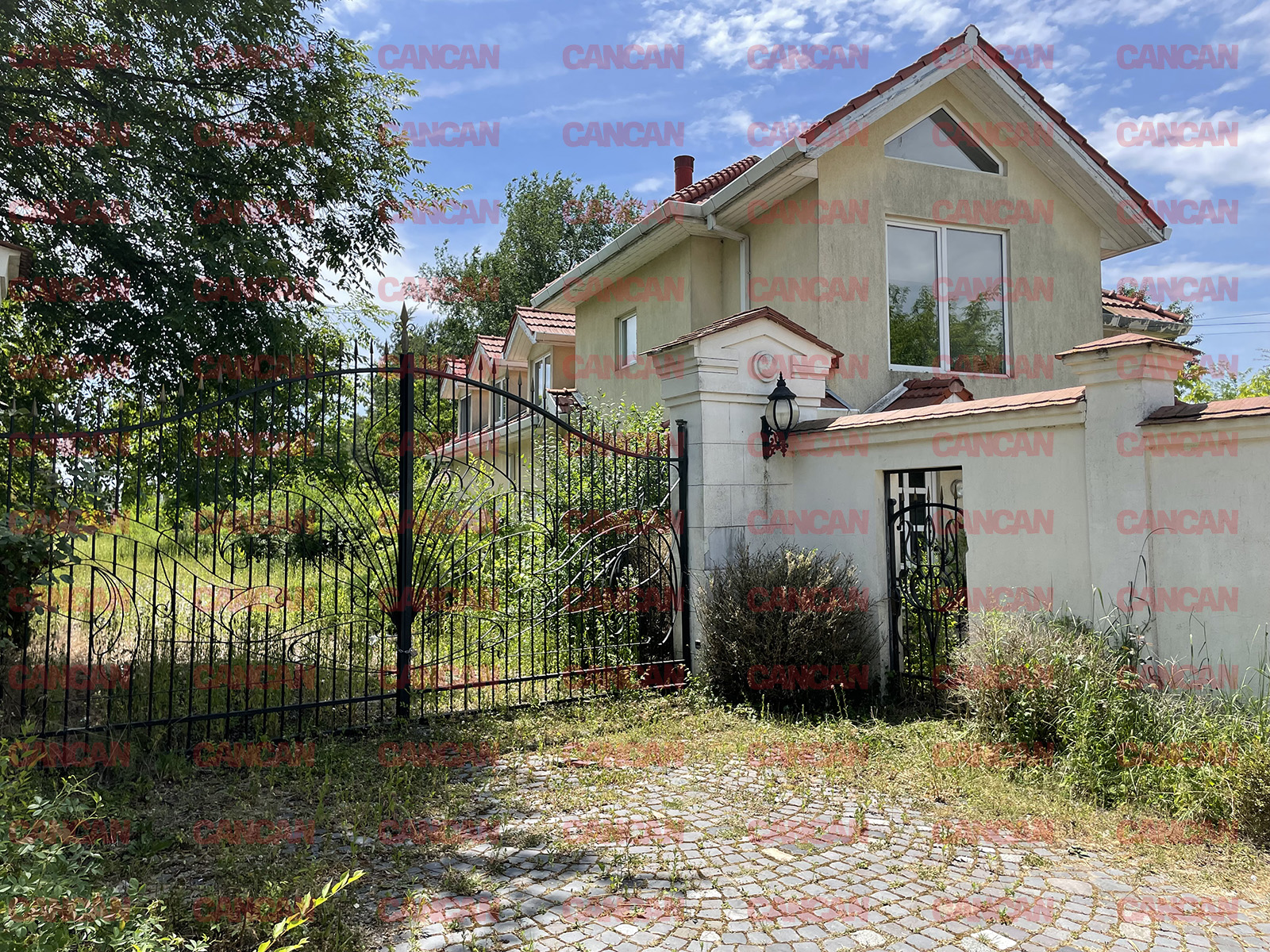 Vila lui Irinel Columbeanu de la Izvorani a ajuns în paragină