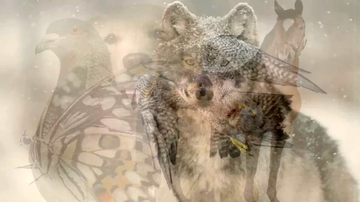 Test de personalitate | Ce vezi în această imagine? Răspunsul îți va ...