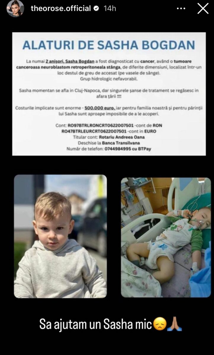 Theo Rose, strigăt disperat pe internet: “Să ajutăm un Sasha mic”. Are doar 2 anișori