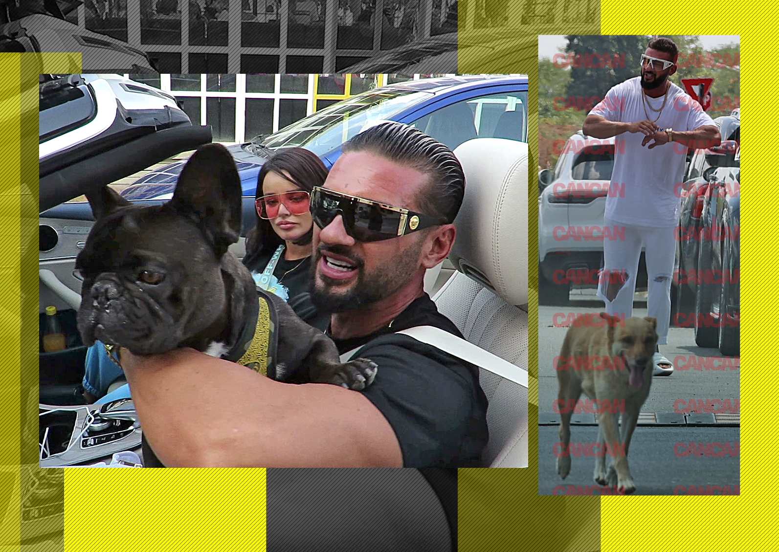 L-a înlocuit cu un maidanez! CANCAN.RO are imaginile de ultimă oră ...