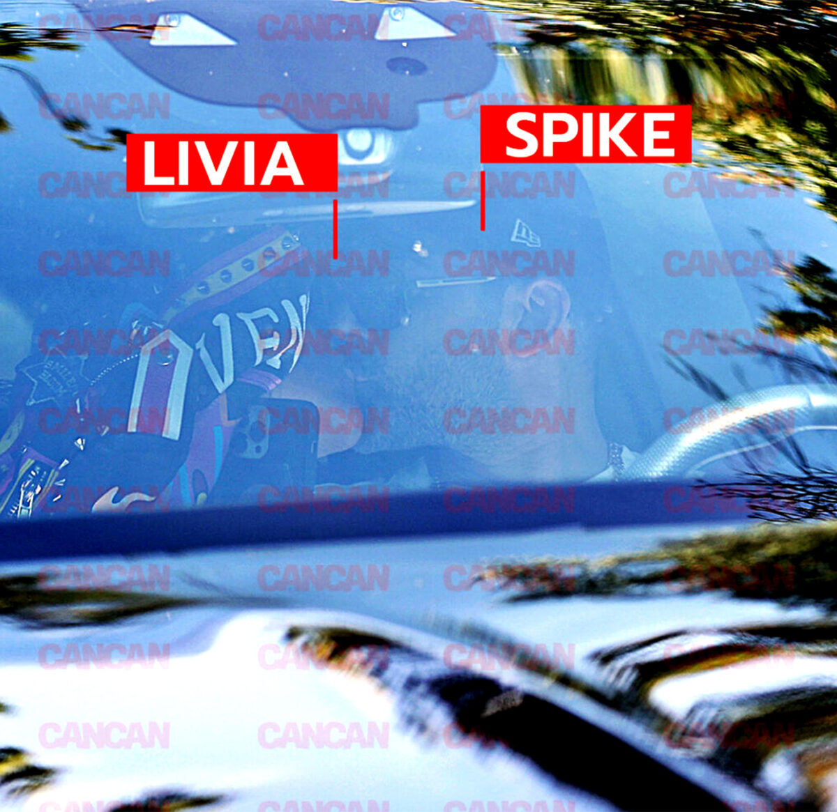 Motivul pentru care Livia a refuzat să meargă cu Cătălin Bordea la America Express de la Antena ...