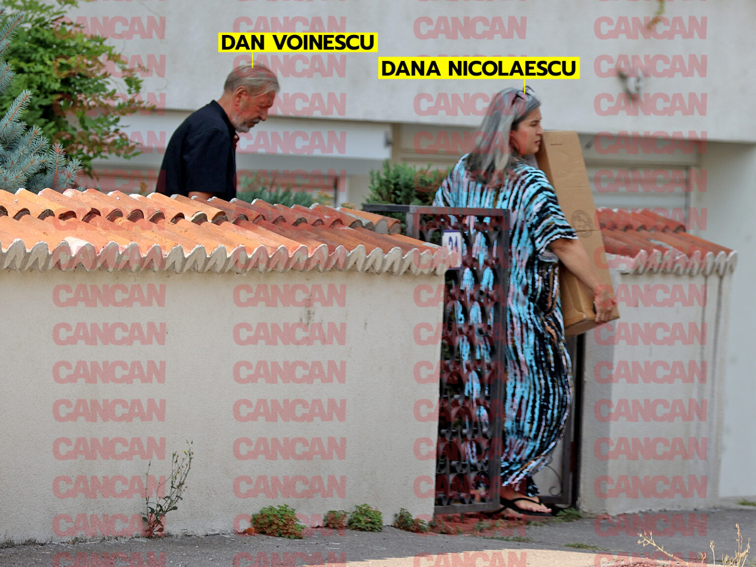 Transformare uluitoare! Dana, văduva lui Sergiu Nicolaescu, de ...