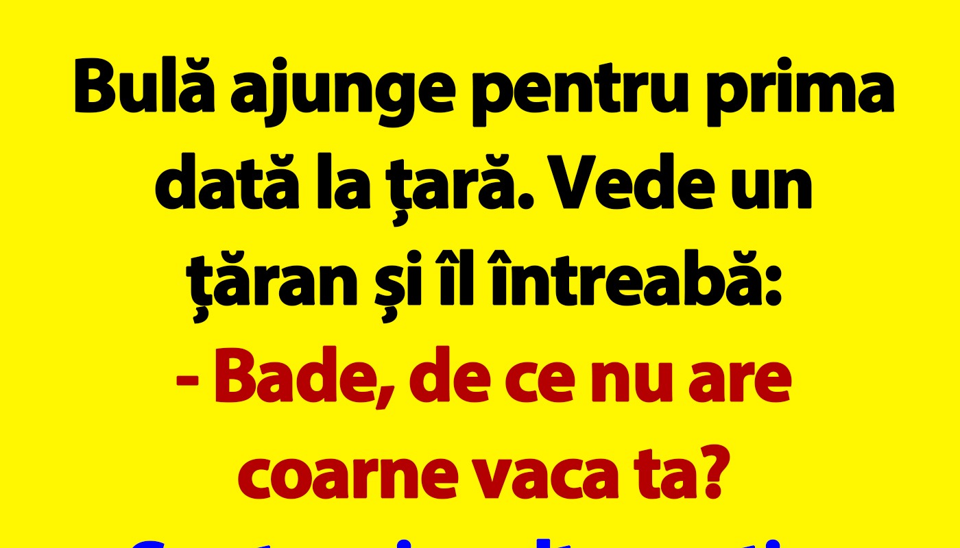 BANC | Bulă se duce la țară: "Bade, de ce nu are coarne vaca ta?"
