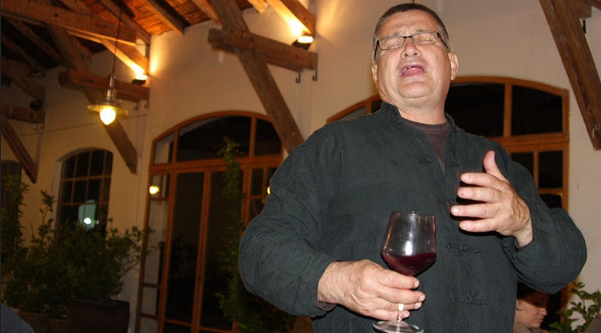 Cum arată casa lui Mircea Dinescu, emblematicul poet român. De mai ...