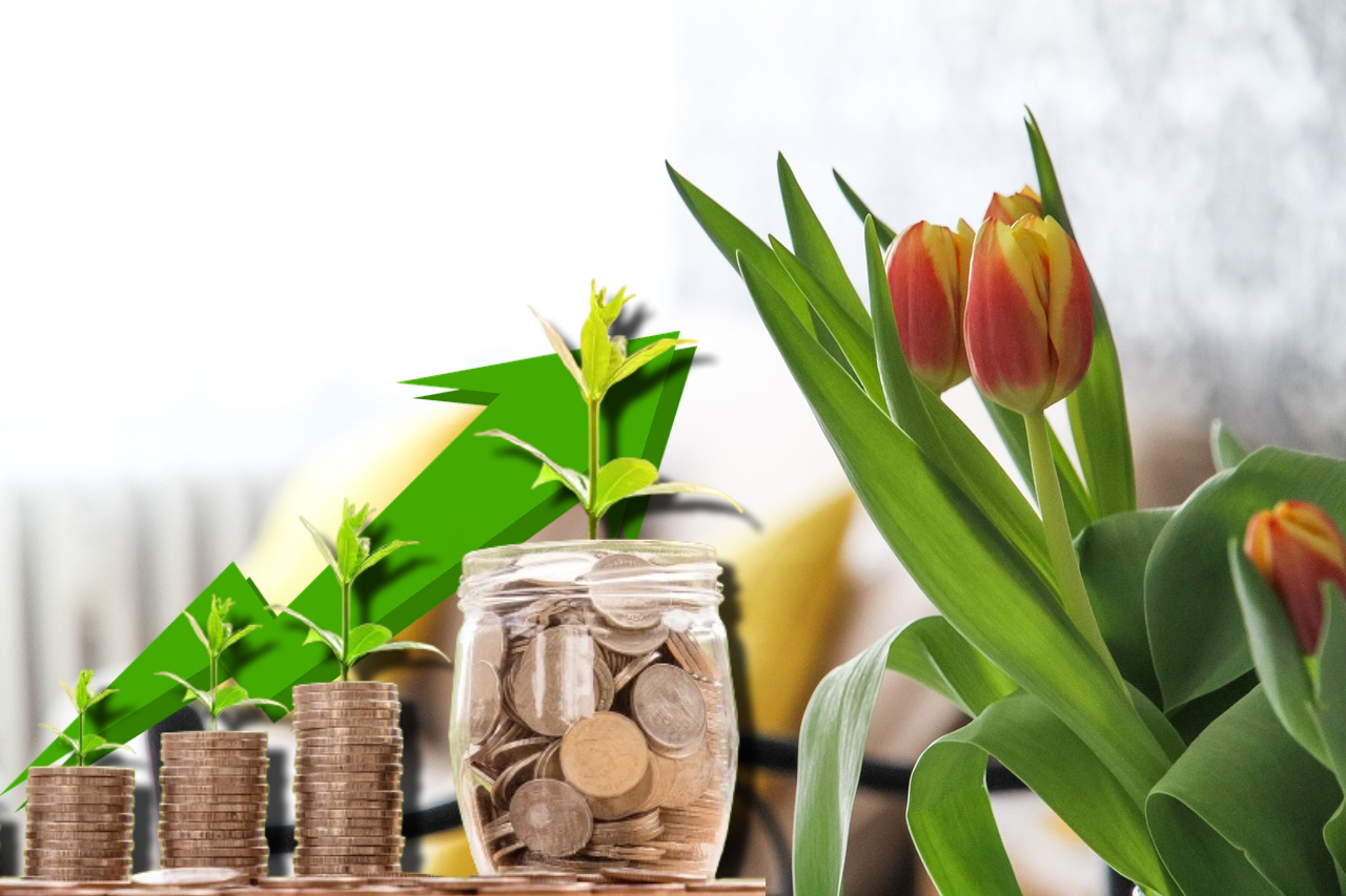 Idee de afacere românească, pornită doar cu 500 de euro. Alex și ...